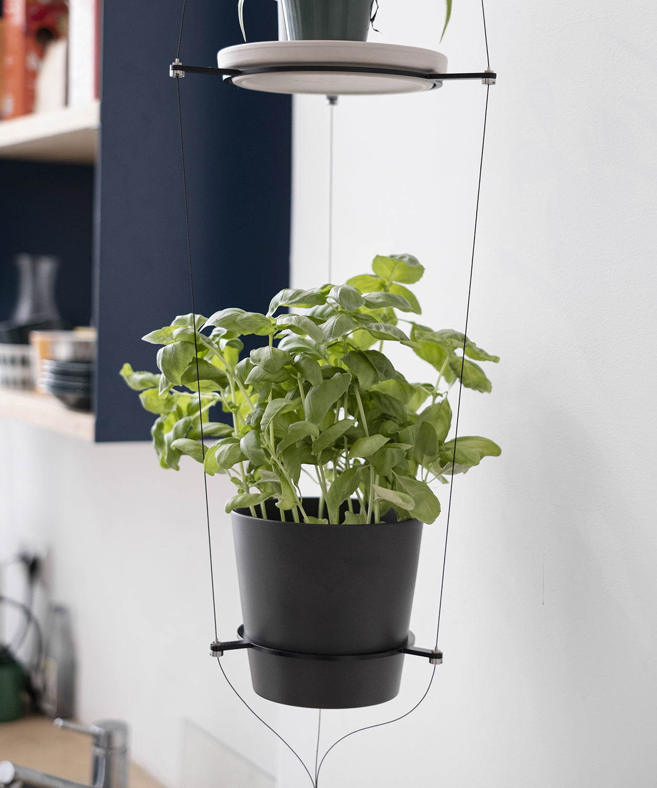 ORBIT plant hanger – Result Objects