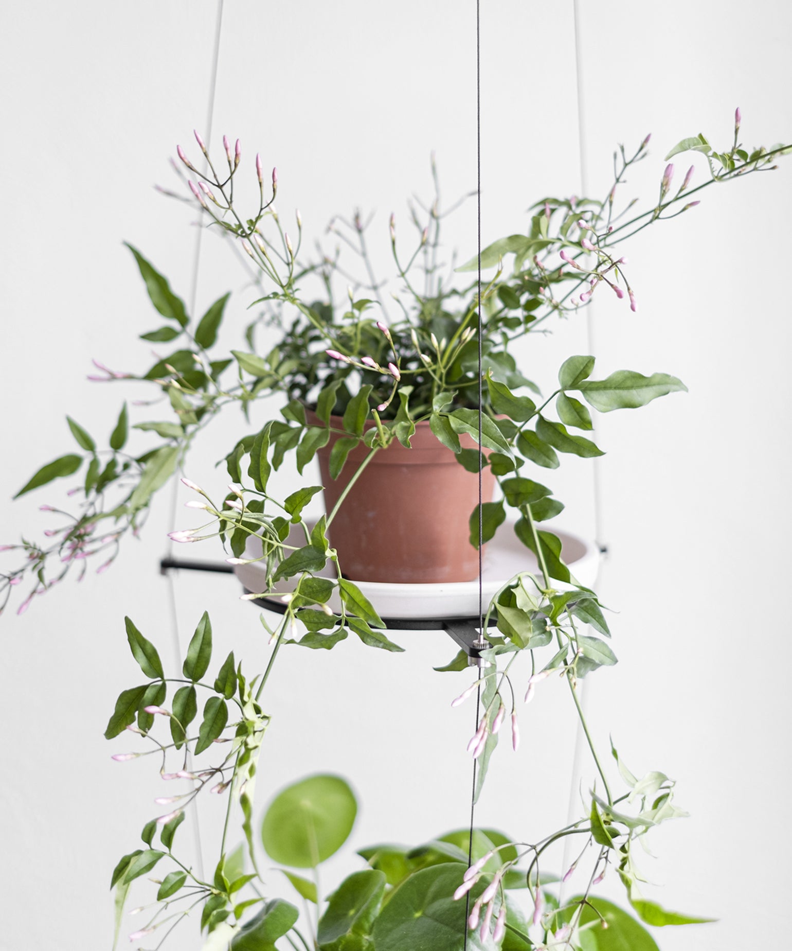 ORBIT plant hanger – Result Objects